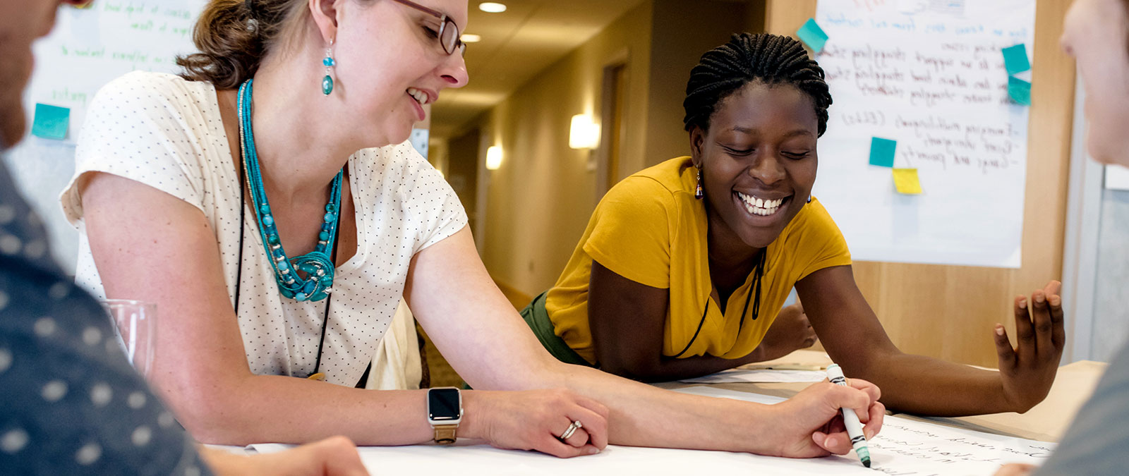 Professional Learning - Knowles Teacher Initiative