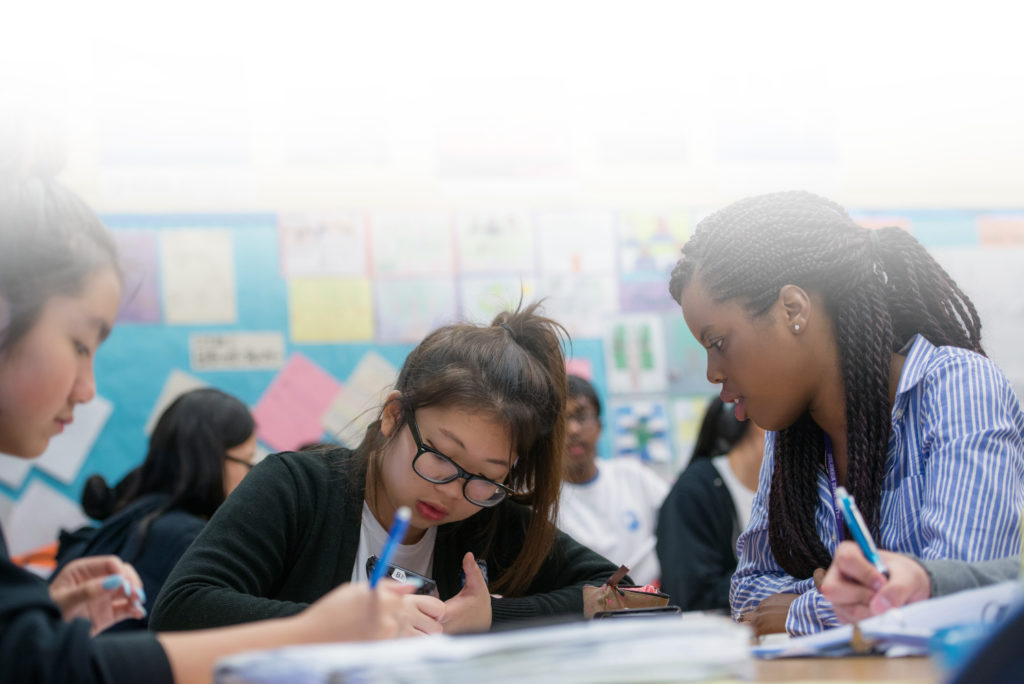 Teaching Fellowship - Knowles Teacher Initiative