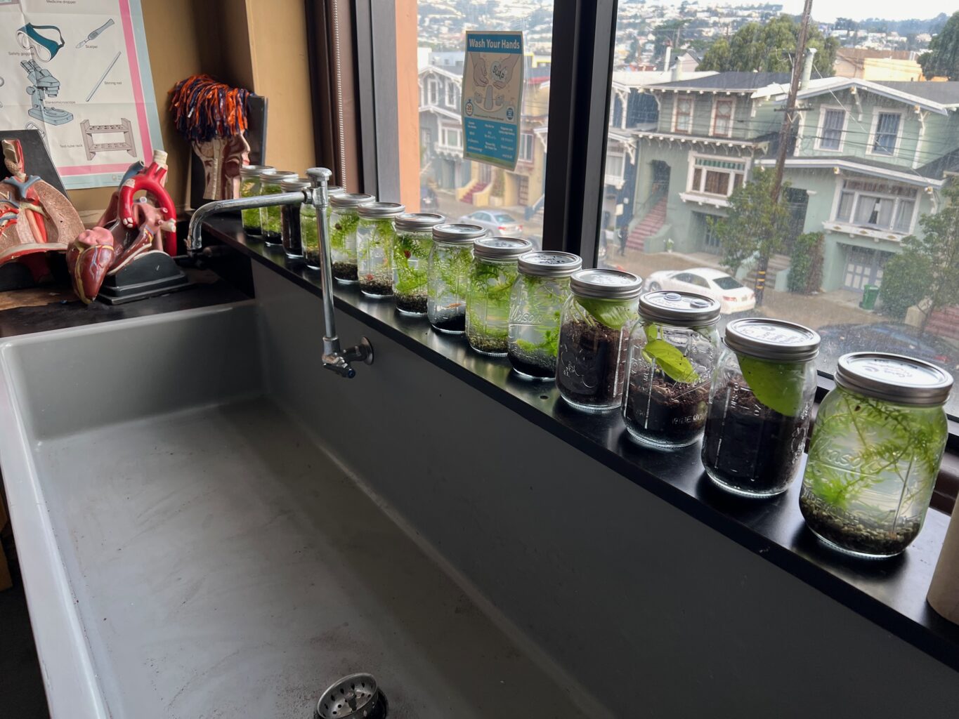 Benefits of Classroom Pets in Secondary Education - Knowles Teacher ...